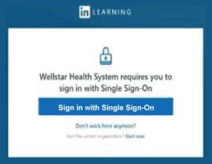 Current Leaders | Leadership Wellstar
